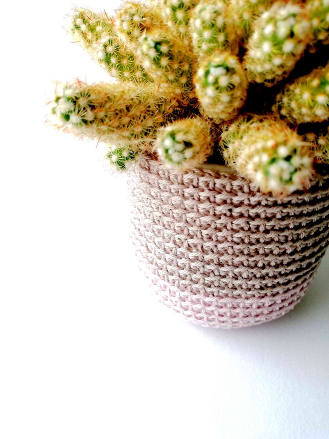Mini plant pot cozy Molly - Nordic Hook - Free crochet pattern