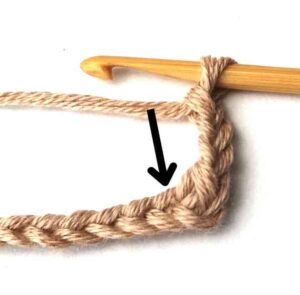 The even diagonal shell stitch - Nordic Hook - Free crochet stitch tutorial