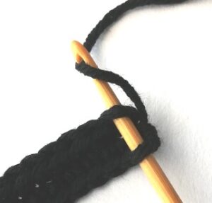 Spooky Halloween drawstring bag with a bat - Free pattern
